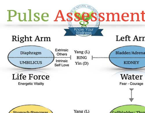 Tcm Pulse Chart Wearable Multichannel Active Pressurized Pulse Sensing